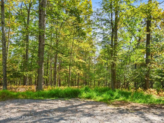 17 Spring Run Ln, Cresco, PA 18326 | MLS #PM 135765 | Compass