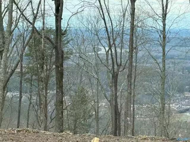 14040 MONTE VEDRA RD SE, HUNTSVILLE, AL 35803 Vacant Land For.