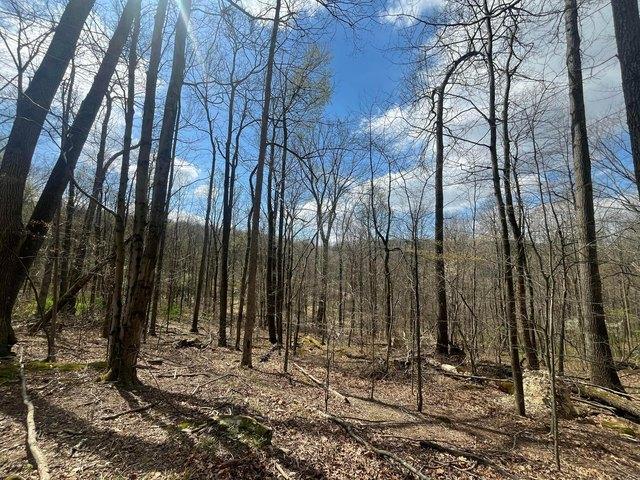 14040 Pinewood Trail Rd NE, Newark, OH 43055