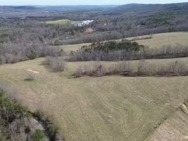 1404 BURTON LOOP RD, ALTOONA, AL 35952 Vacant Land For Sale M.