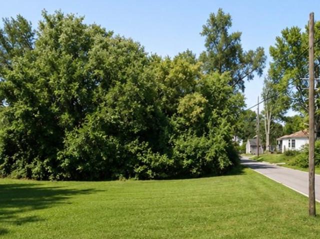 14057 Rockdale St, Detroit, MI 48223