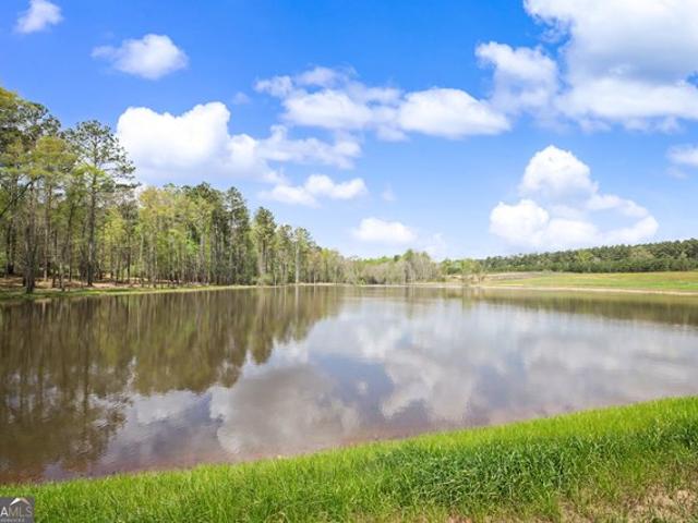 1405 Jones Mill Rd, Woodbury, GA 30293
