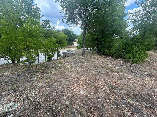 1406 Willow Wood Ct, Graham, TX 76450 | MLS #20685