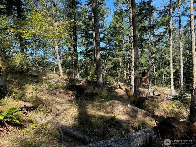 1407 Obstruction Pass Rd, Orcas Island, WA 98279 | MLS #2480