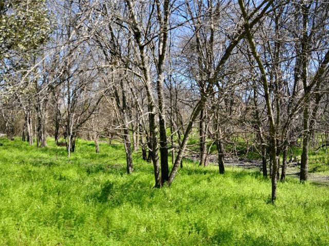 1407 W Maple, Goldthwaite, TX 76844 | MLS #21187 | Compass