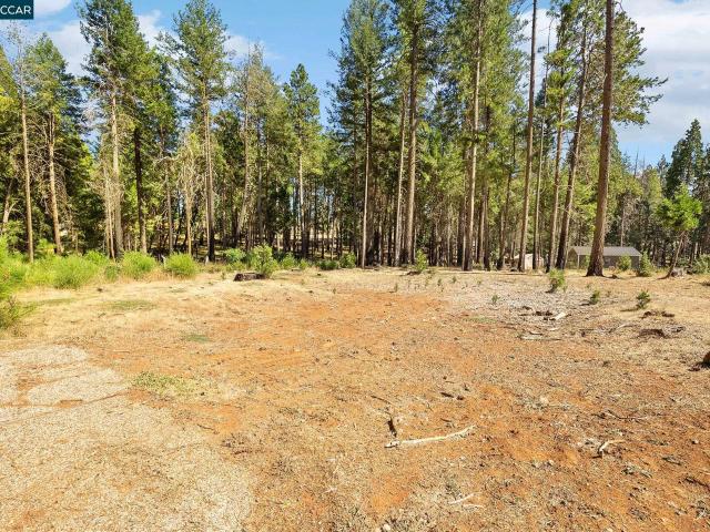 14080 Temple Cir, Magalia, CA 95954 | MLS #41122