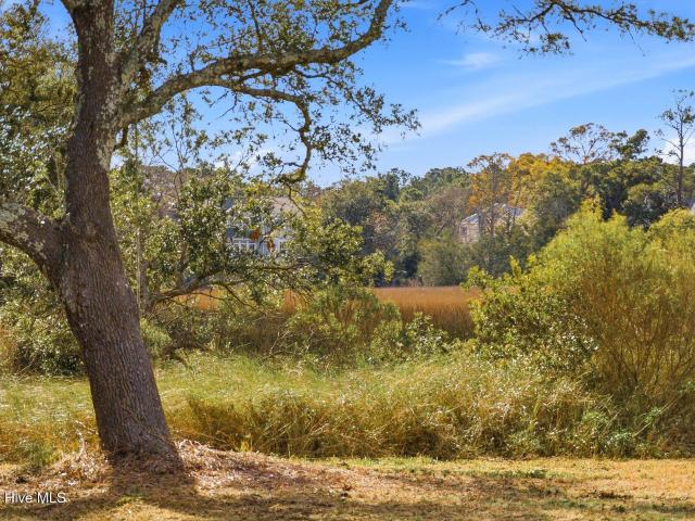 1408 Marsh Cove Lane
