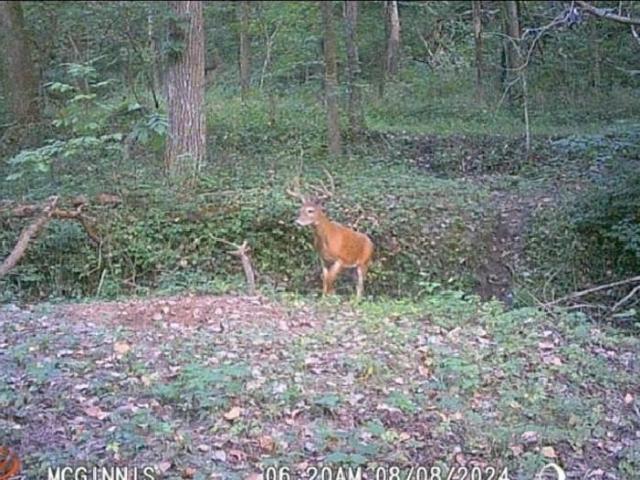 14094 Three Mile Road lot B