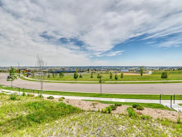 14094 Rock Daisy Trail