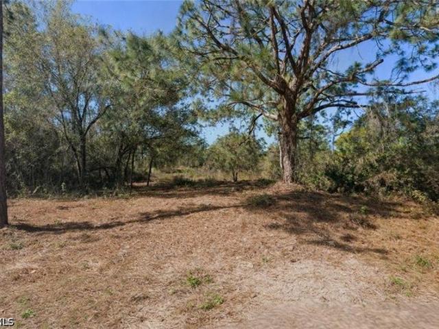 1409 Congress Ave, Lehigh Acres, FL 33972