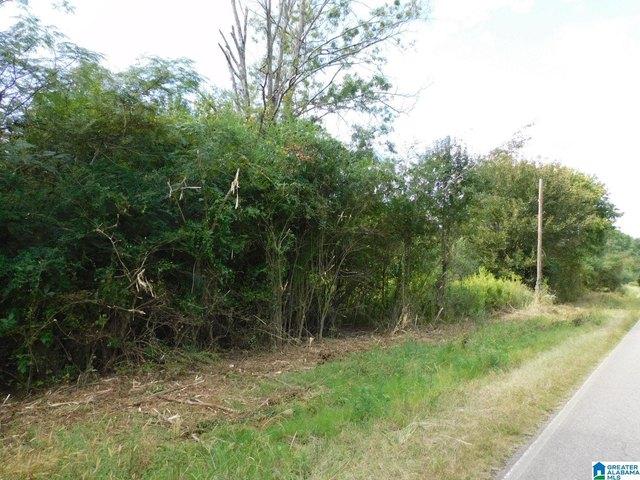 1409 Creswell Rd Lot 0, Harpersville, AL 35078
