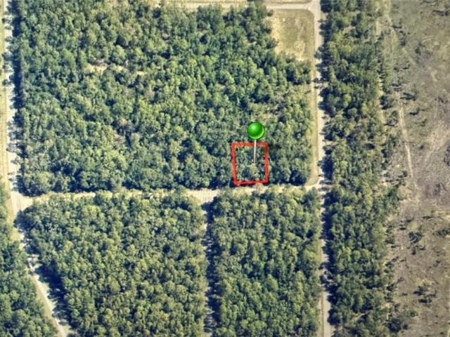 1409 E Fergason Ln, Dunnellon, FL 34434 | MLS #OM716057