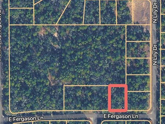 1409 E Fergason Ln, Dunnellon, FL 34434