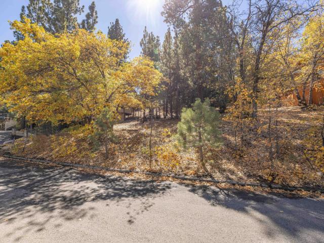 1409 Klamath Rd, Big Bear City, CA 92314 | MLS #219137 | Compass