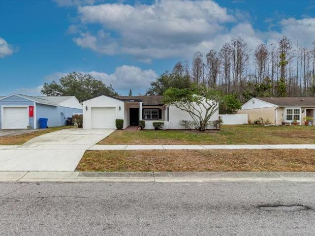 14003 Basin St, Tampa, FL 33625 | MLS #TB8491