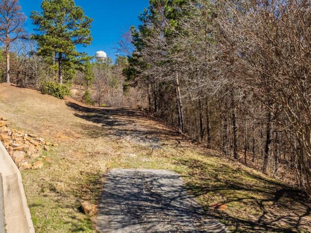 14000 Mountain River Drive