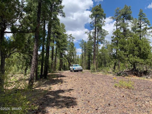 1400 Manzanita Trail