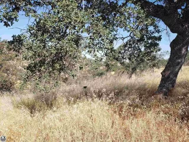 1400 Medina, La Grange, CA 95329 650477644