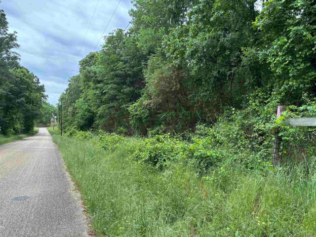 1400 Old Bear Road