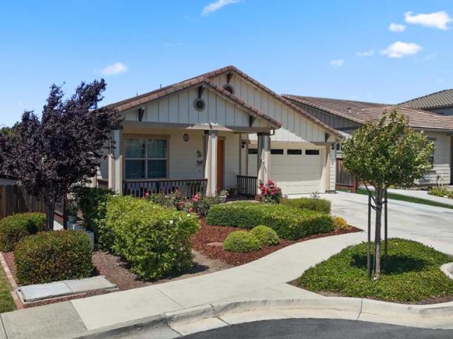 1400 Sawtooth Drive