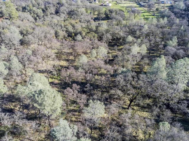 14011 Neptune Rd, Rackerby, CA 95972 | MLS #41114