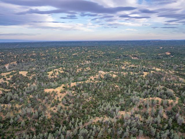 14015 Highway 36, Red Bluff, CA 96080 | MLS #26 548 | Compass