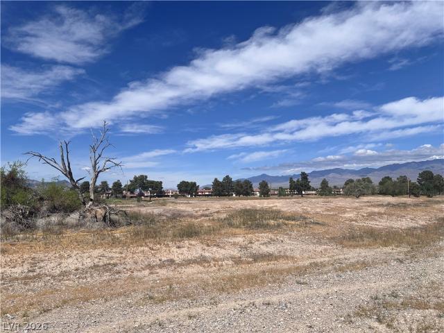 1401 S Saddle Court