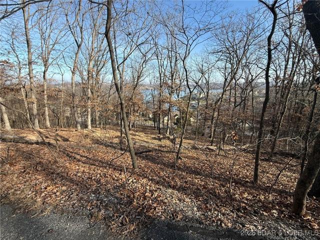1401 Via Del Lago Drive