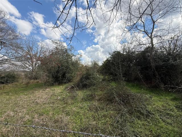 14023 Colony Road