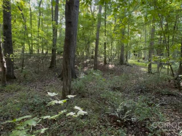 1402 Bloomsberry Ln, Waxhaw, NC 28173 | MLS #4303
