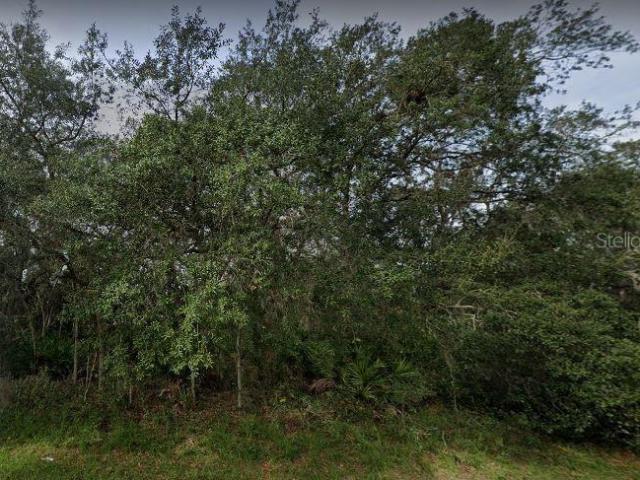 1402 Punta Gorda Ct, Poinciana, FL 34759 | MLS #B4901