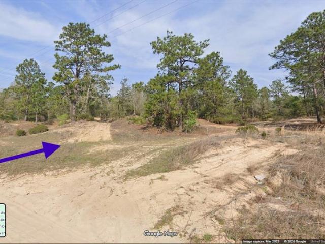 1402 Twin Lakes Blvd, Interlachen, FL 32148 | MLS #S5144 | Compass