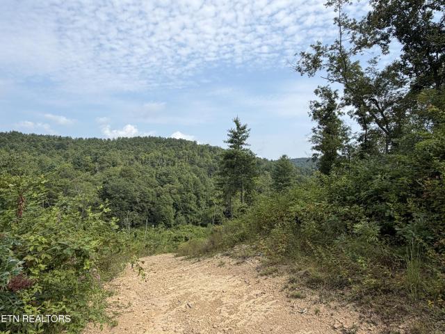 14030 Skull Creek Rd