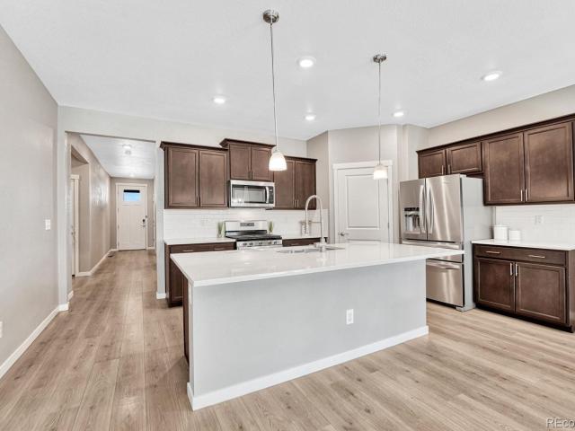 14032 Shasta Daisy Street