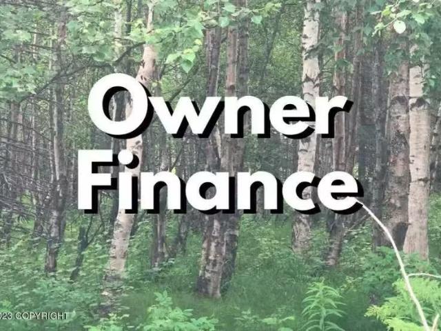 14036 E HIDEAWAY DR, WILLOW, AK 99688 Vacant Land For Sale ML.
