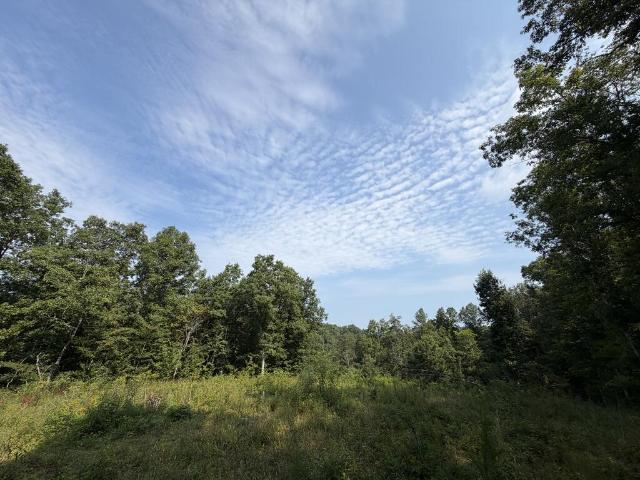 140.30 Acres Skull Creek Rd
