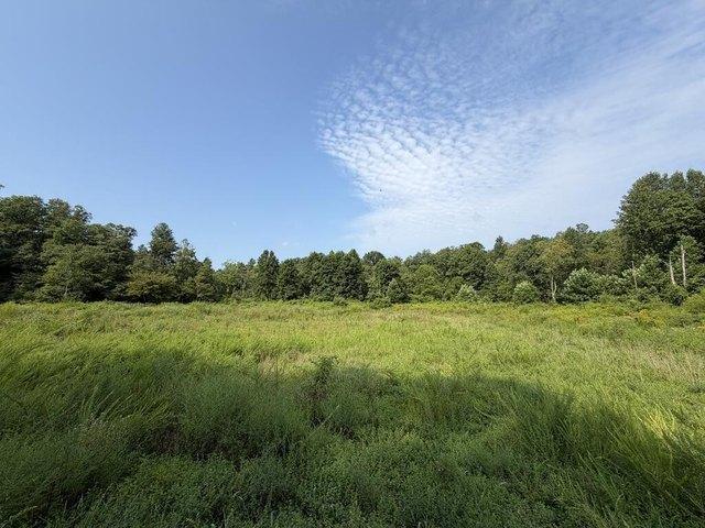 140.30 Acres Skull Creek Rd, Robbins, TN 37852