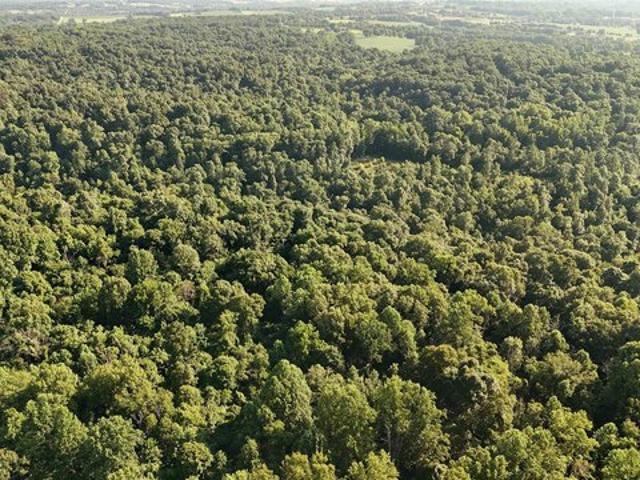 140 Ac off Eastlake Dr, Bedford, IN 47421