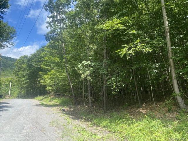 140 Arbor Rd, West Kill, NY 12492