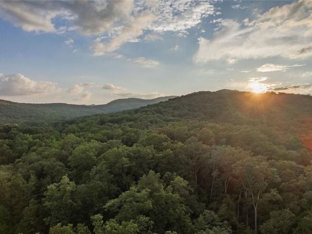 140 Black Oaks Rd, Cherry Log, GA 30522 | MLS #7745