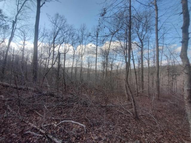 140 Brushy Creek rd