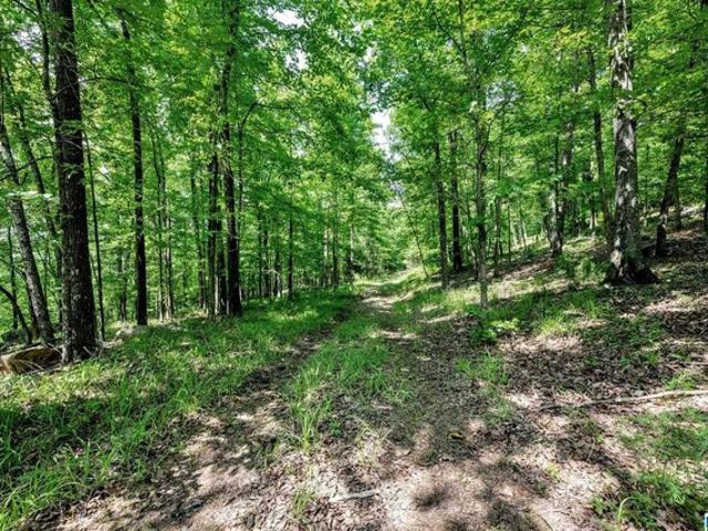 140 Hampton Lake Dr Lot 59, Pelham, AL 35124