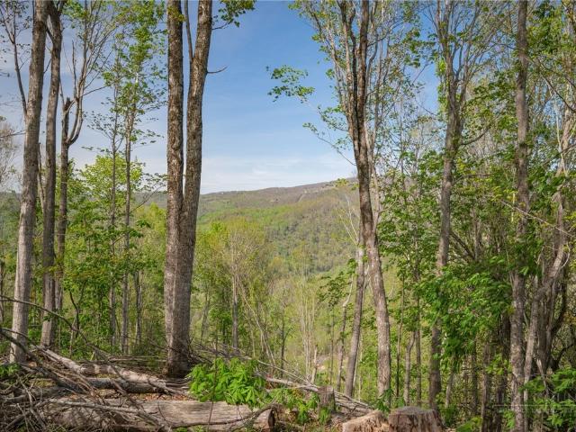 140 Old Forge Trail