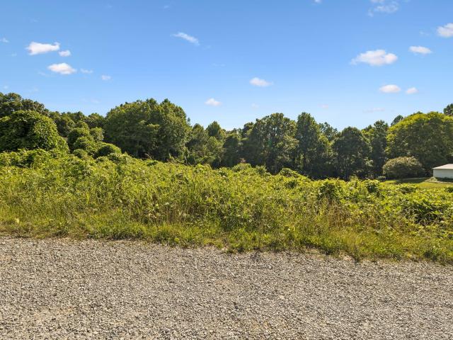 140 Scenic View Lane