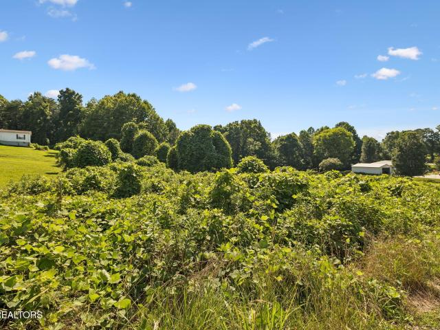 140 Scenic View Lane