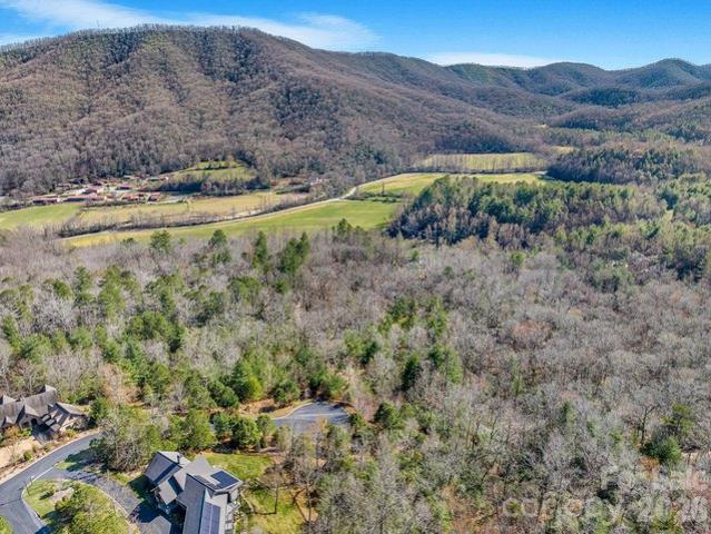 140 Woodhen Way Unit 140, Horse Shoe, NC 28742