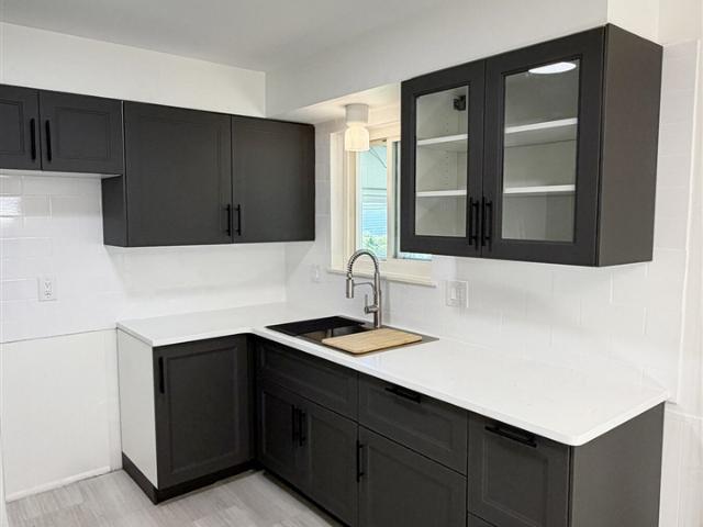 14165 Alexander