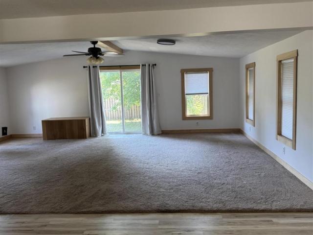 14166 Red Pine Drive