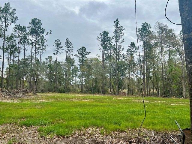 14185 Driskell Dairy Rd, Mobile, AL 36695