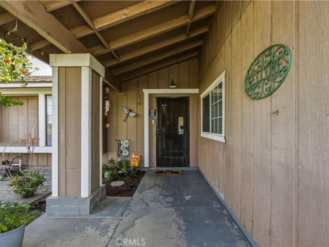 1418 Nut Tree
